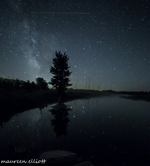 Maureen Elliott – Owen Sound Camera Club
